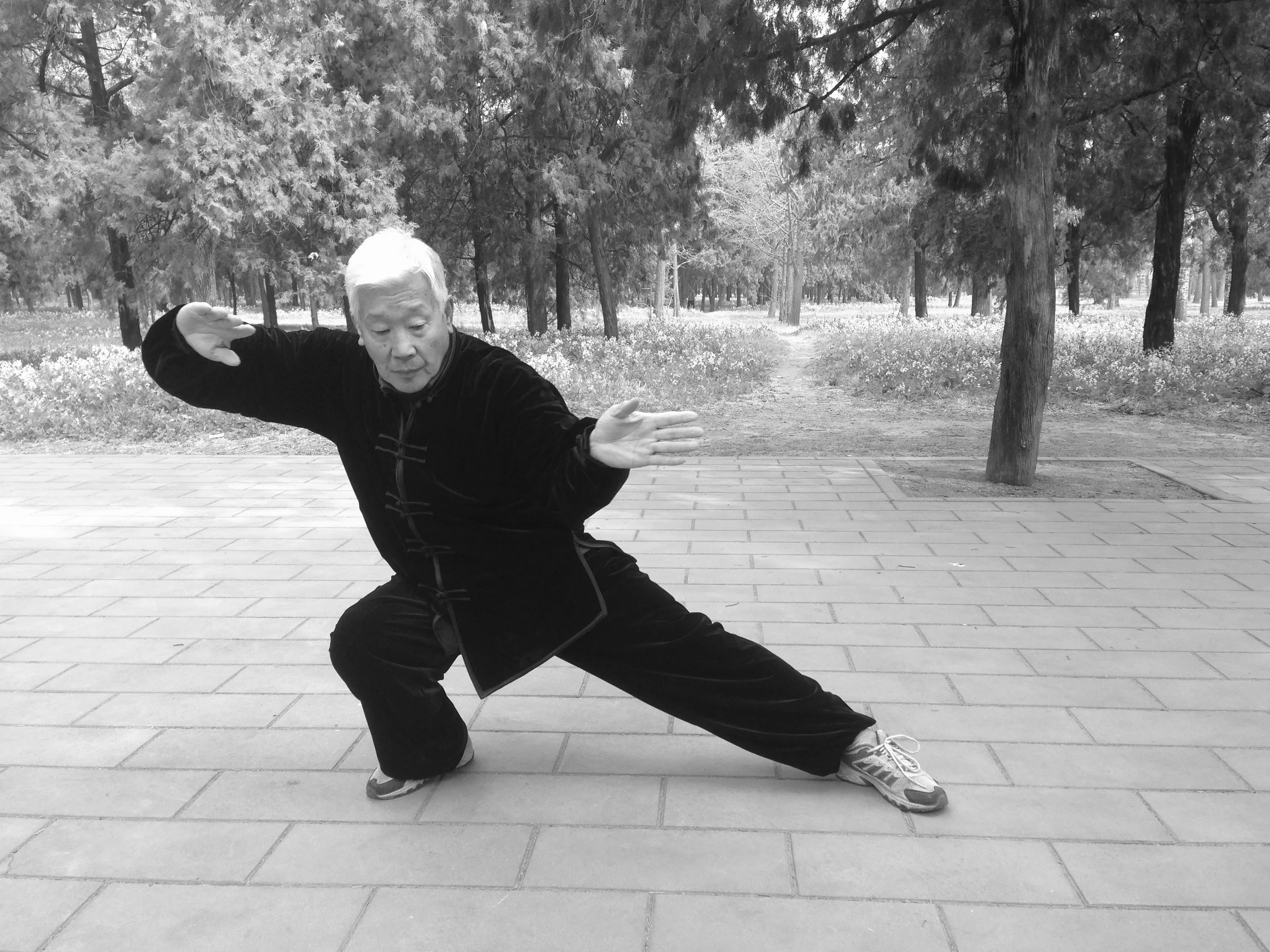 Flying Tortoise Kung Fu