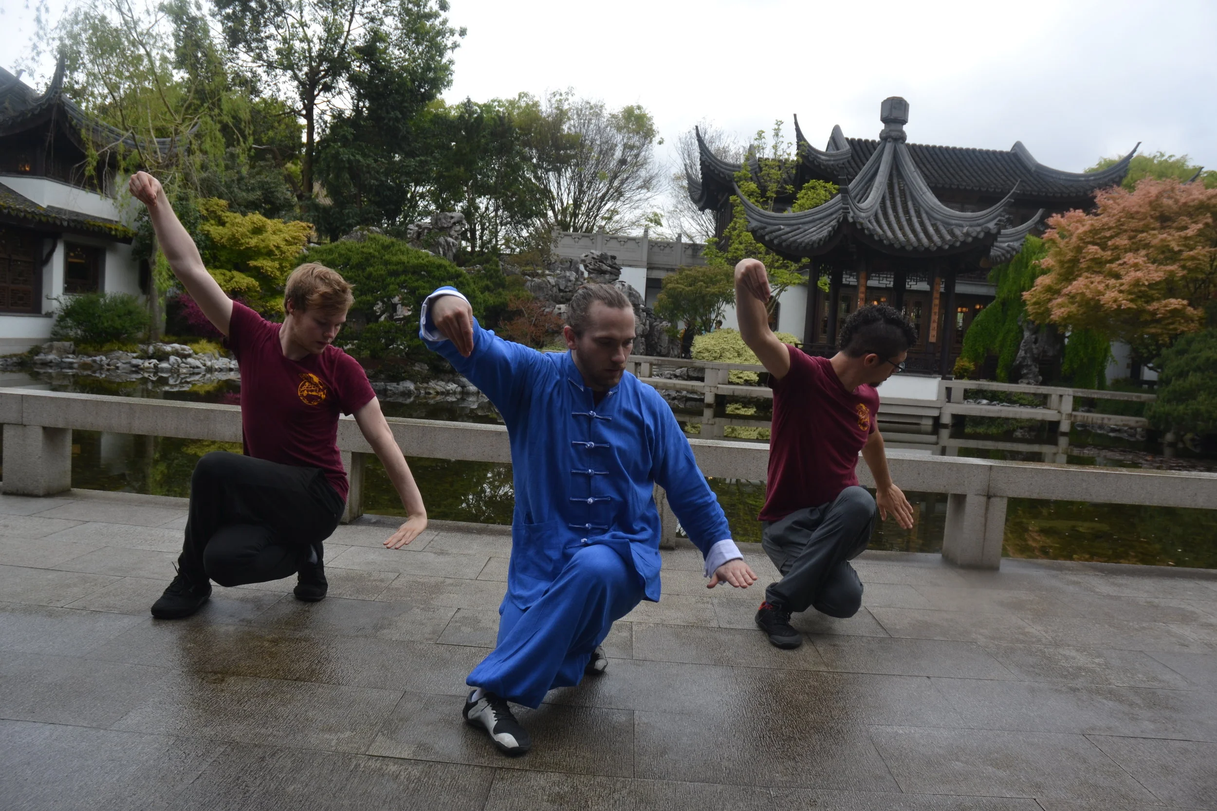 Flying Tortoise Kung Fu