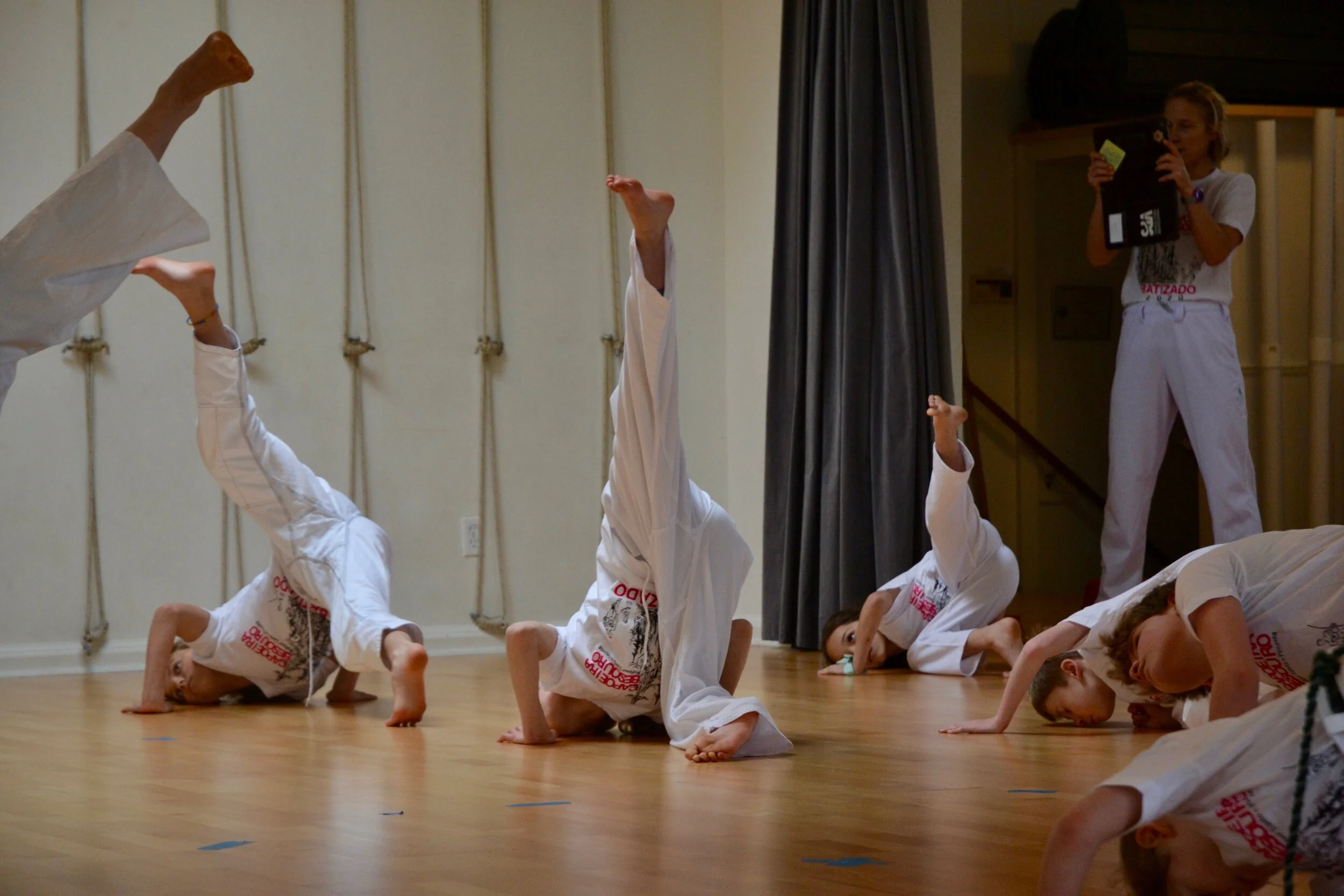 Flying Tortoise Kung Fu