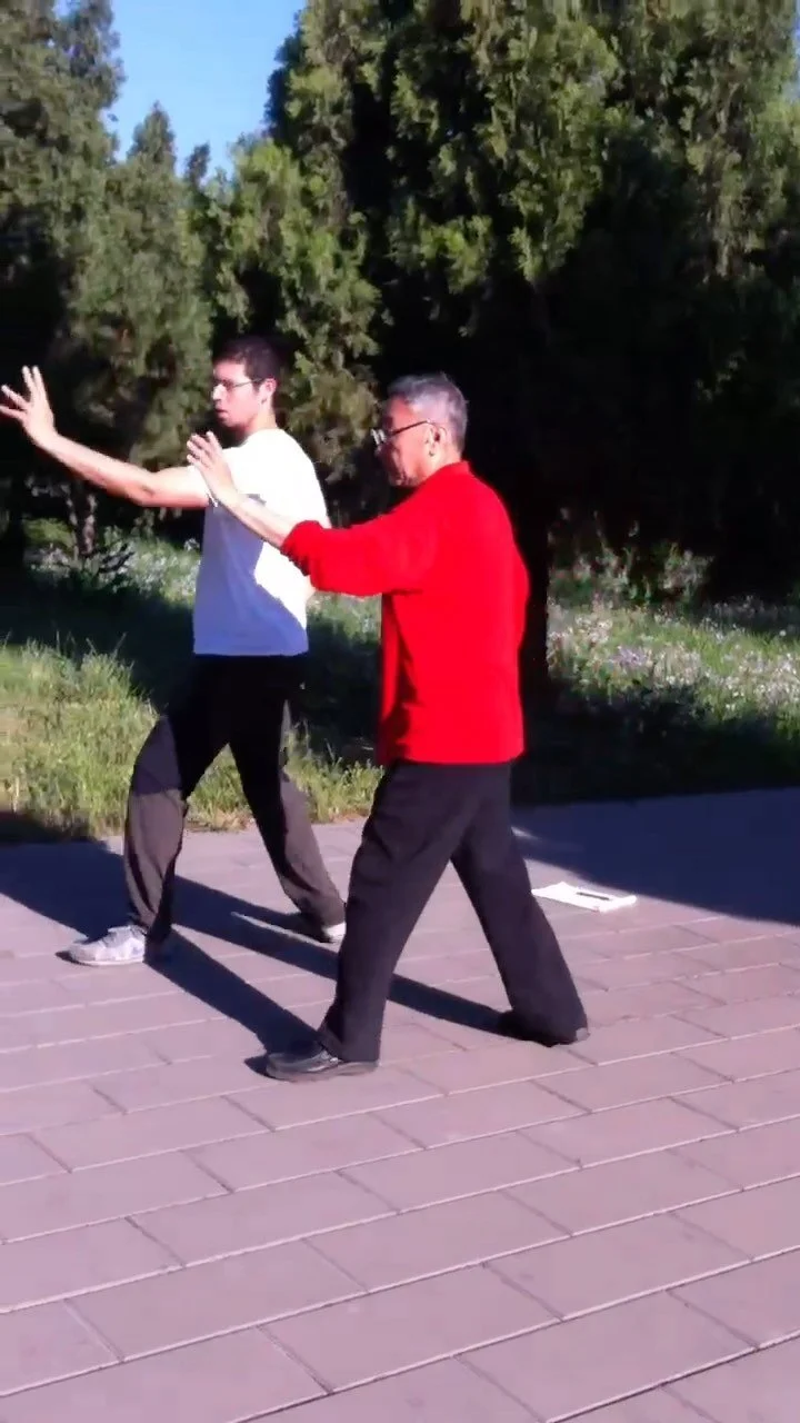 Flying Tortoise Kung Fu