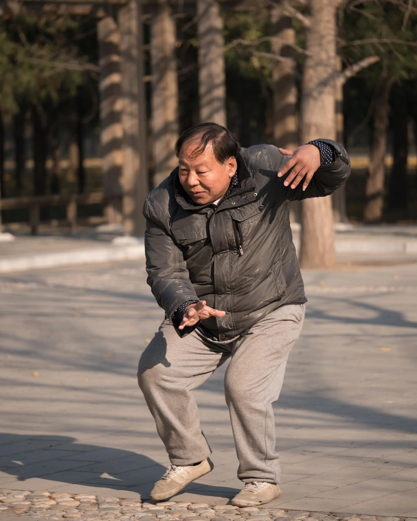 Flying Tortoise Kung Fu