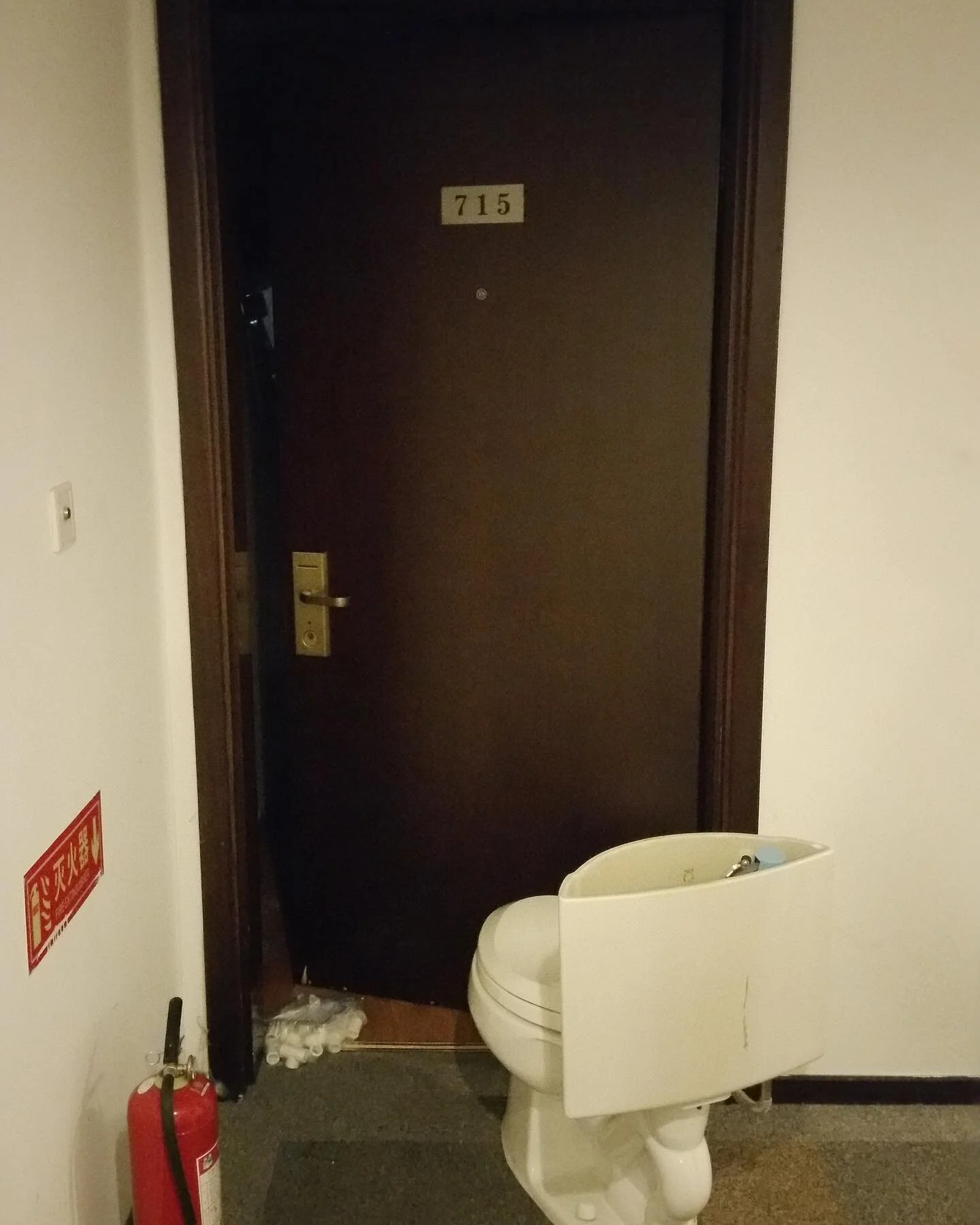 Flying Tortoise Kung Fu