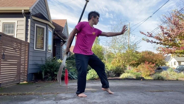 Flying Tortoise Kung Fu