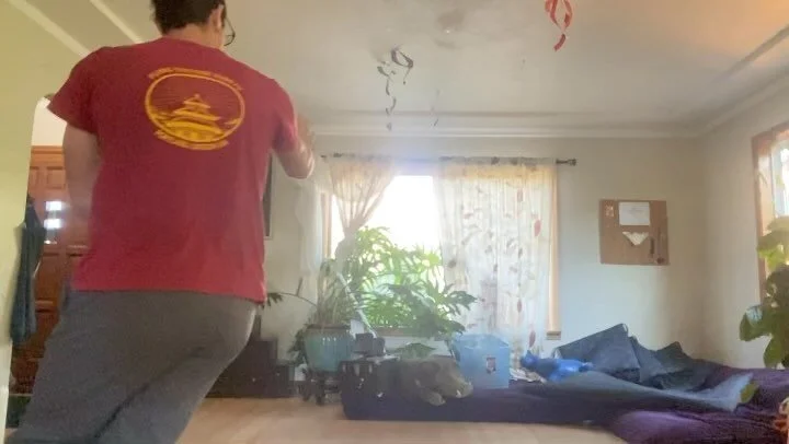 Flying Tortoise Kung Fu