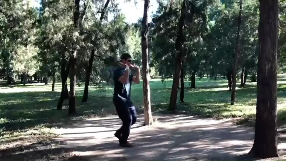 Flying Tortoise Kung Fu