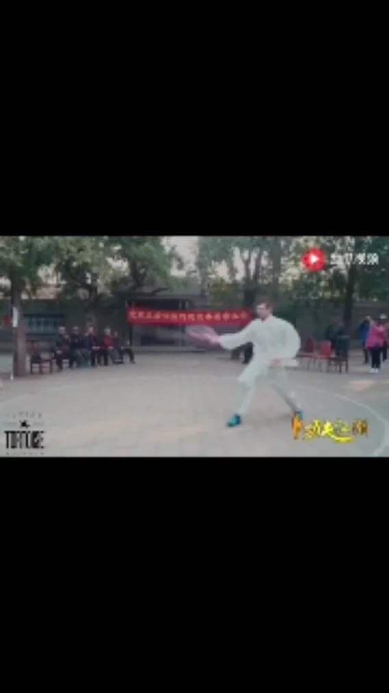 Flying Tortoise Kung Fu