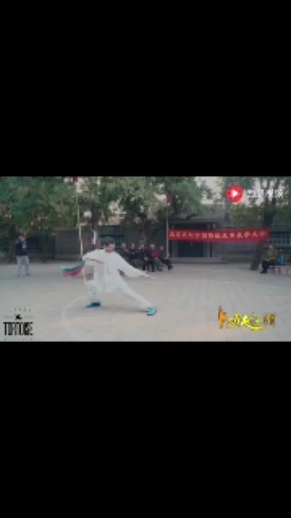 Flying Tortoise Kung Fu