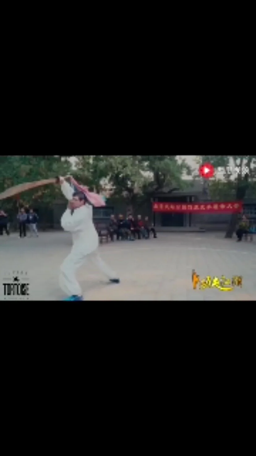 Flying Tortoise Kung Fu