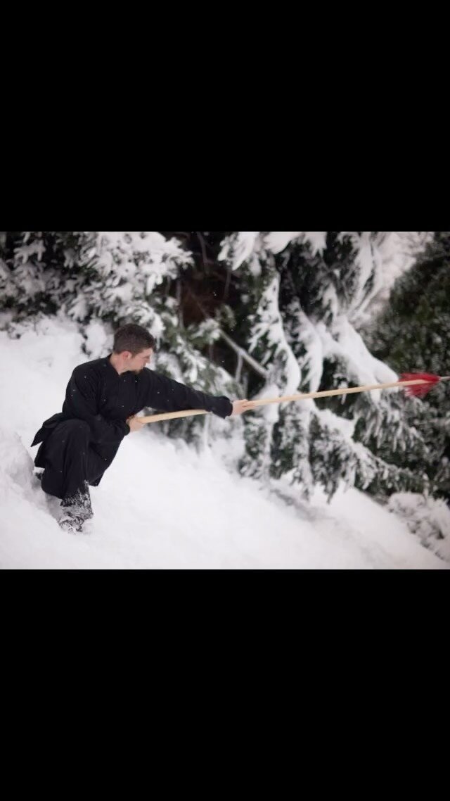 Flying Tortoise Kung Fu