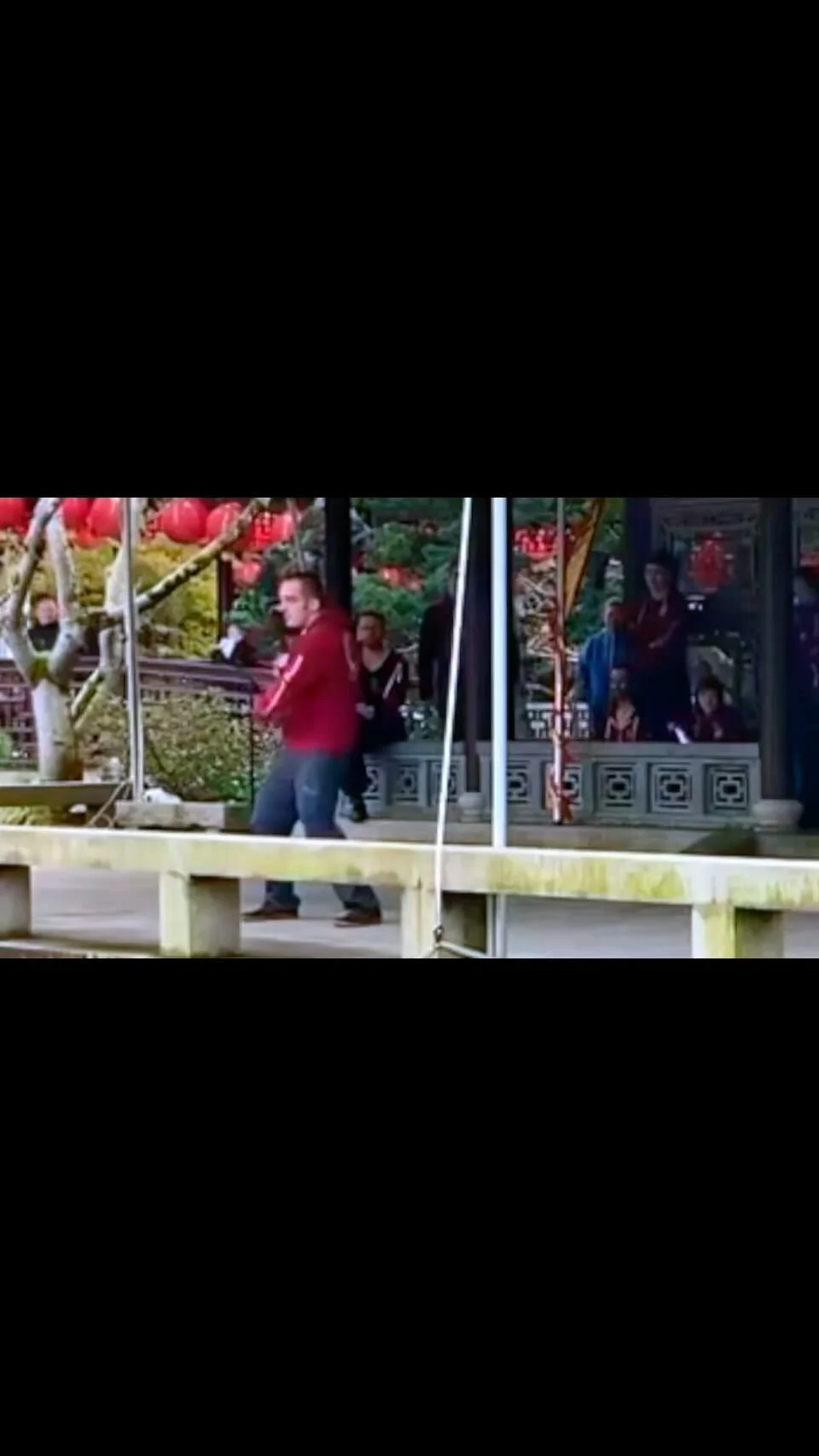 Flying Tortoise Kung Fu