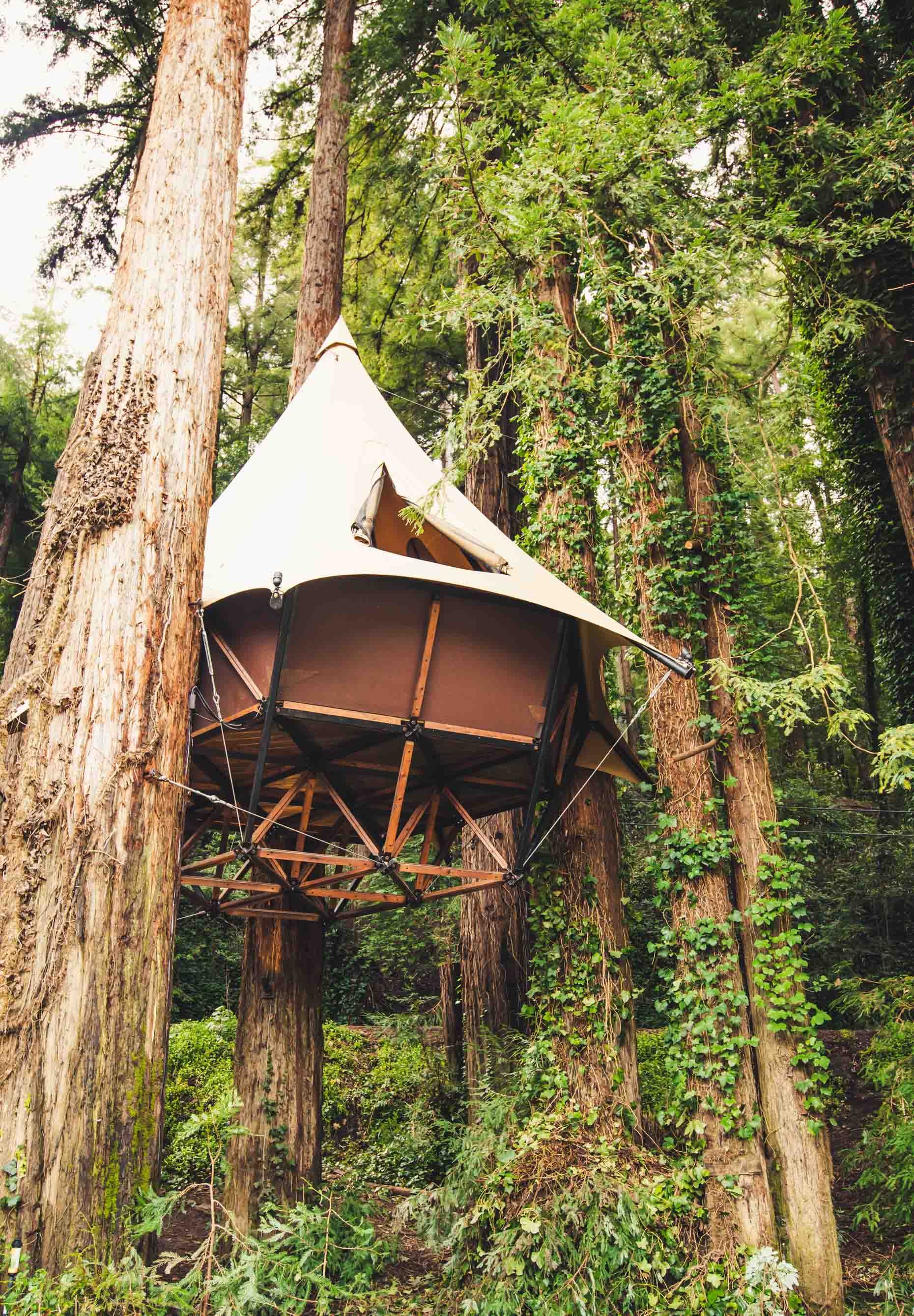 Treewalkers is a franchise-based treehouse hospitality brand — O2 Treehouse