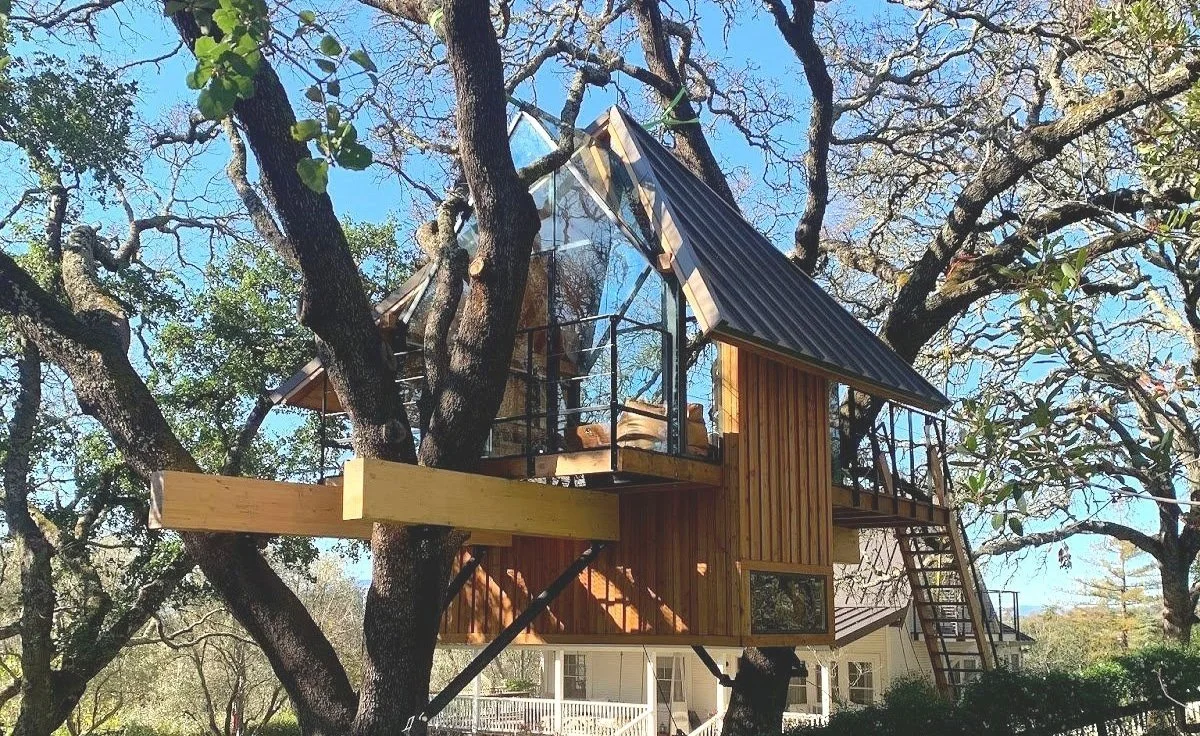 Library Tree Houses
