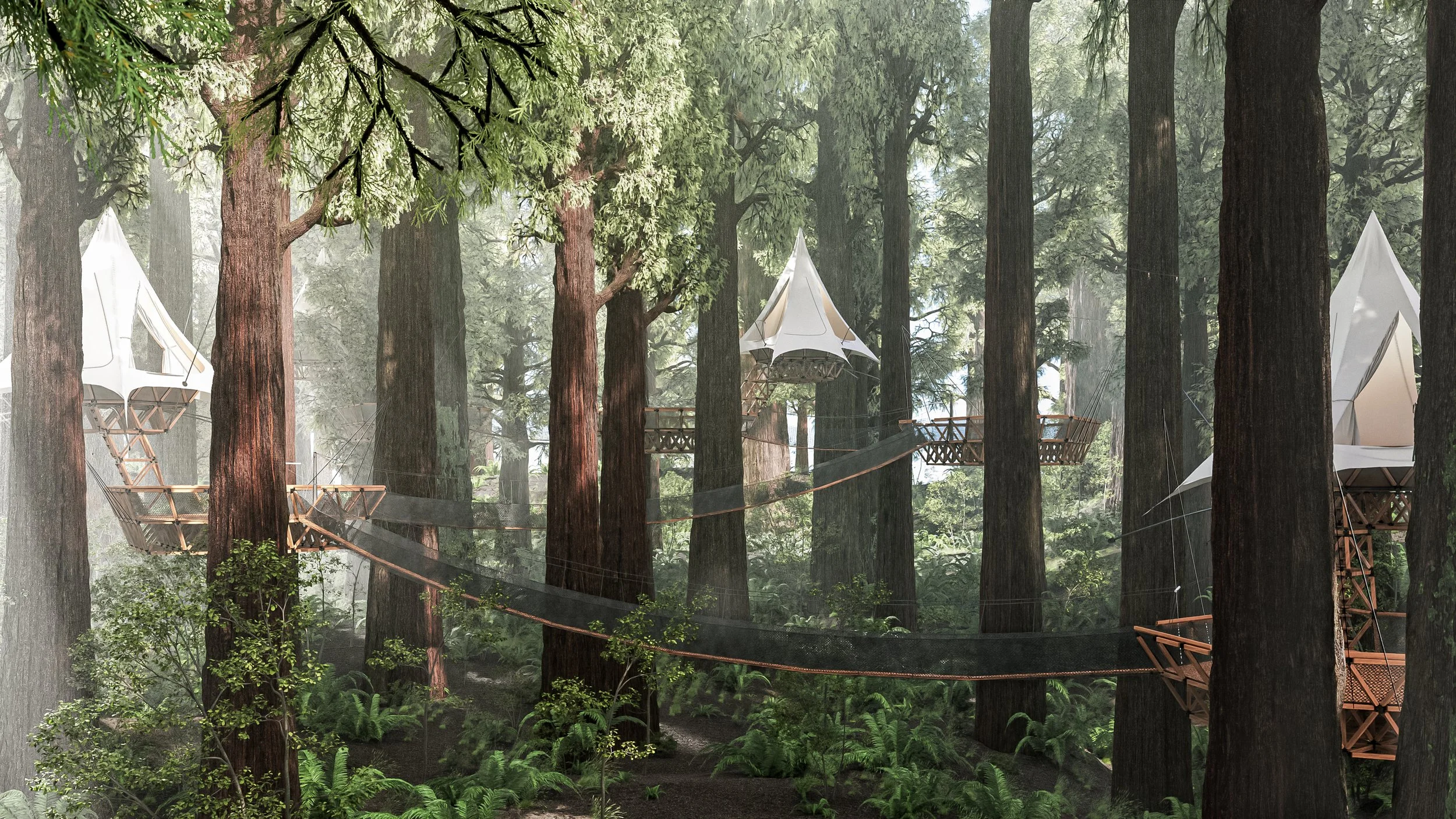 Treewalkers is a franchise-based treehouse hospitality brand — O2 Treehouse