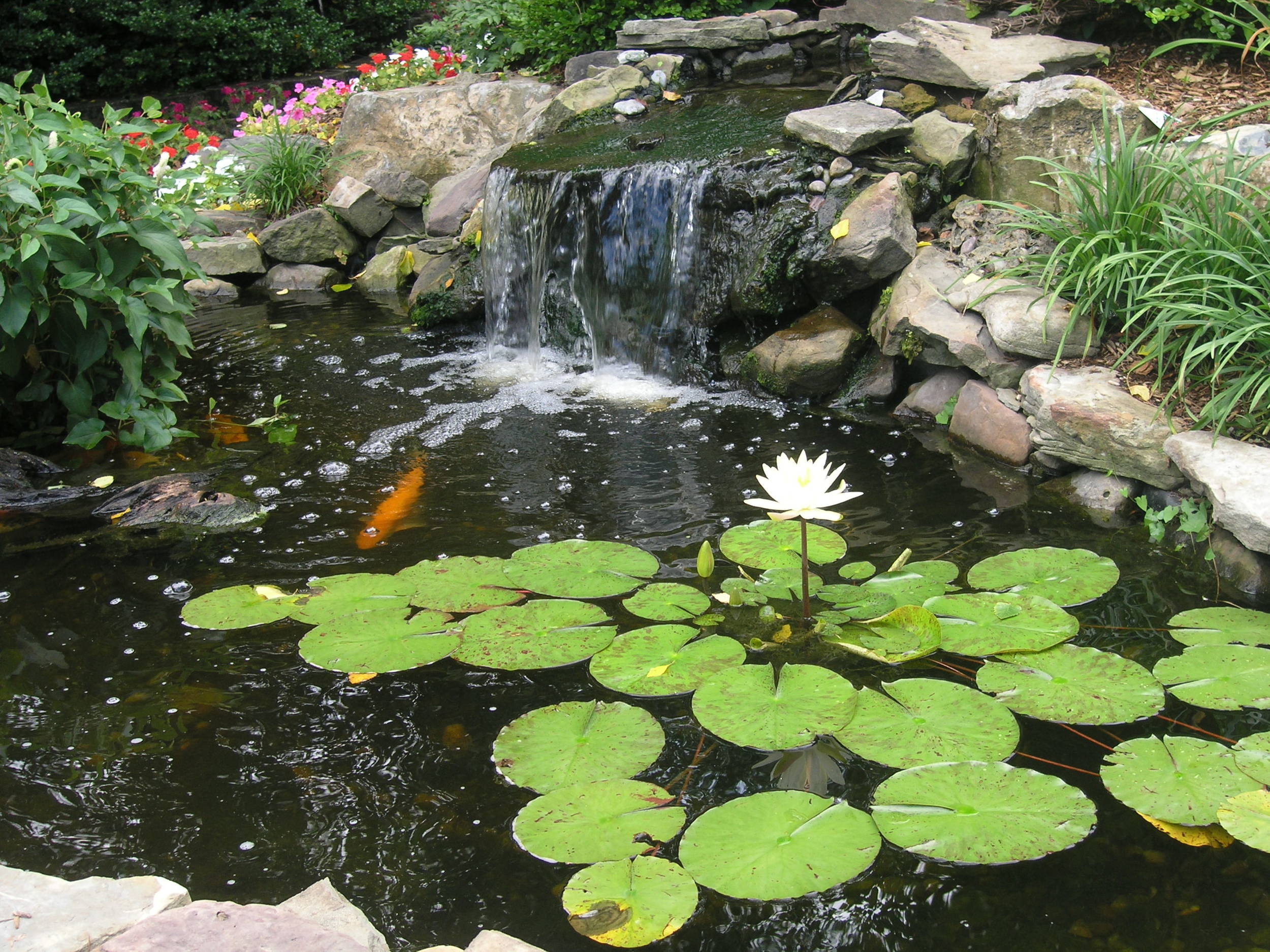 SCOTT LANDSCAPE DESIGN