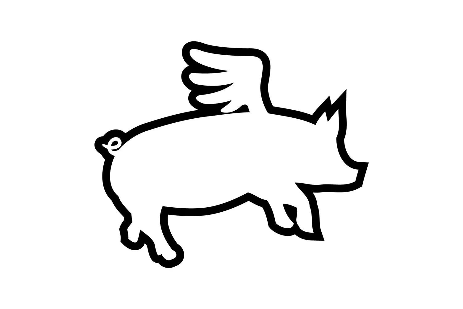 Cute Flying Pig