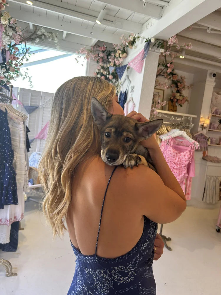 LoveShackFancy Puppy Meet & Greet with Vanderpump Dogs — Lido Marina ...