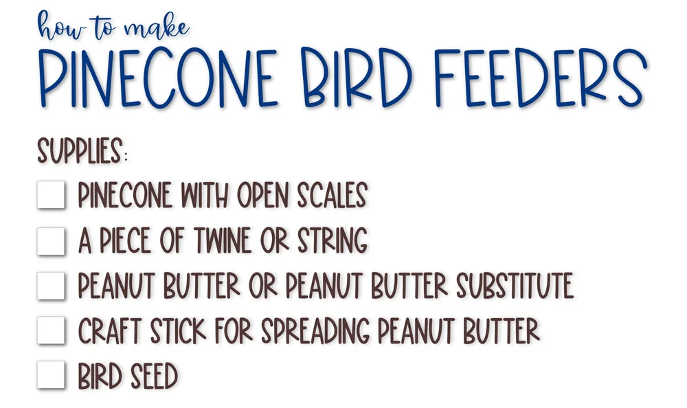 Pinecone Bird Feeder Craft- Fun Activity for Toddlers and Kids — Play ...