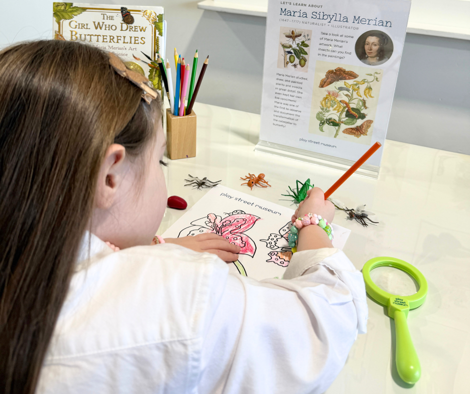 Exploring Insects in Art — Play Street Museum