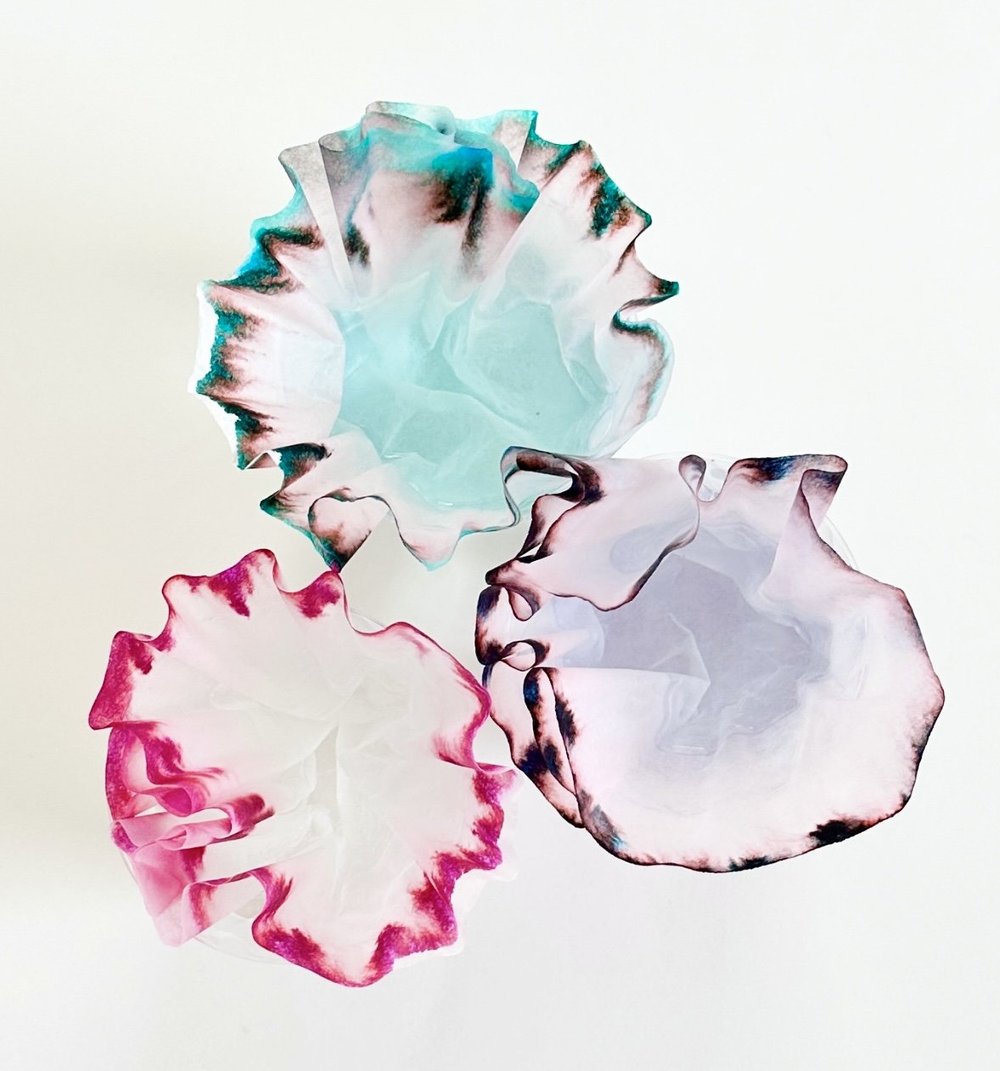 Spring Flower Chromatography Experiment — Play Street Museum