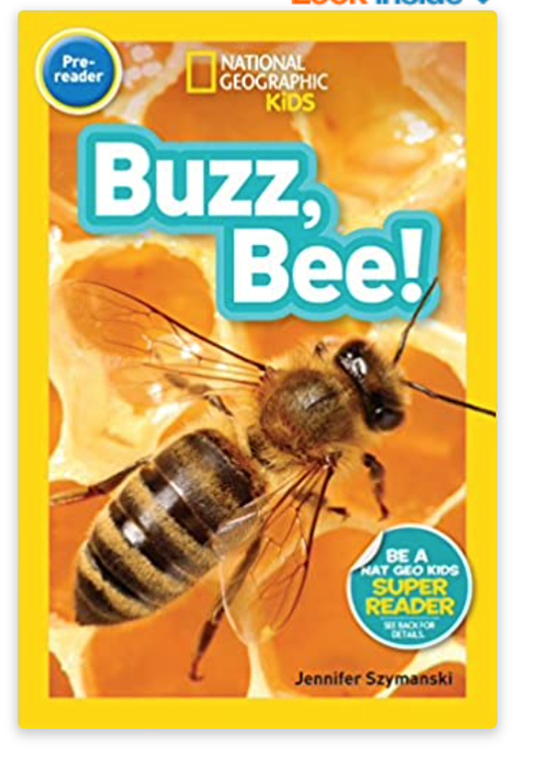 Bee Pollination Science Experiment — Play Street Museum