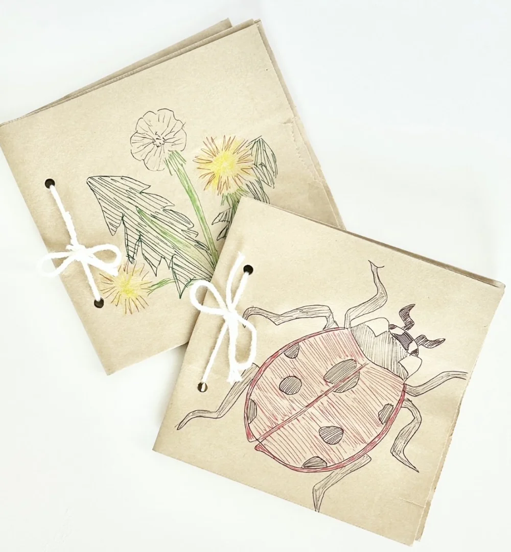 Create a Nature Illustration Book — Play Street Museum