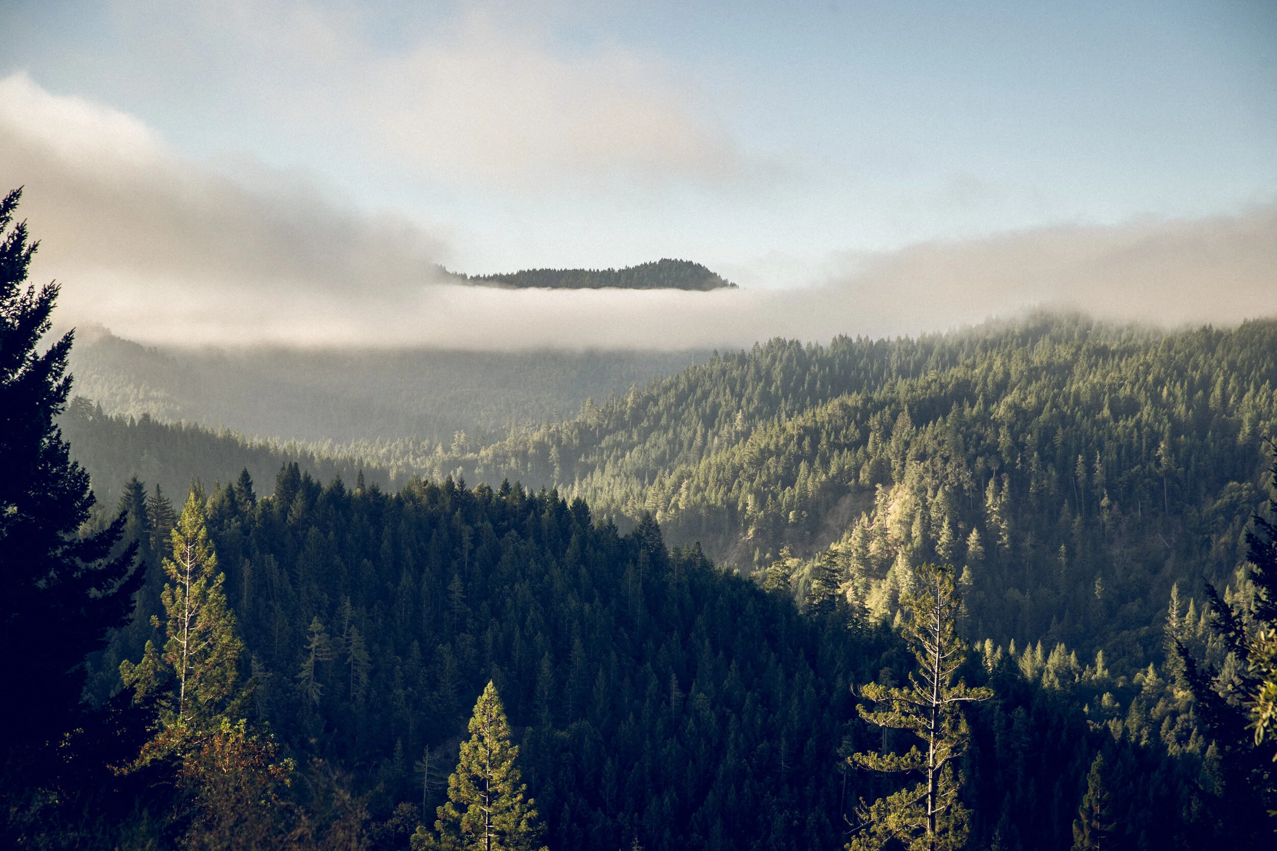 Stinner Frameworks l Handbuilt custom steel and titanium bicycles