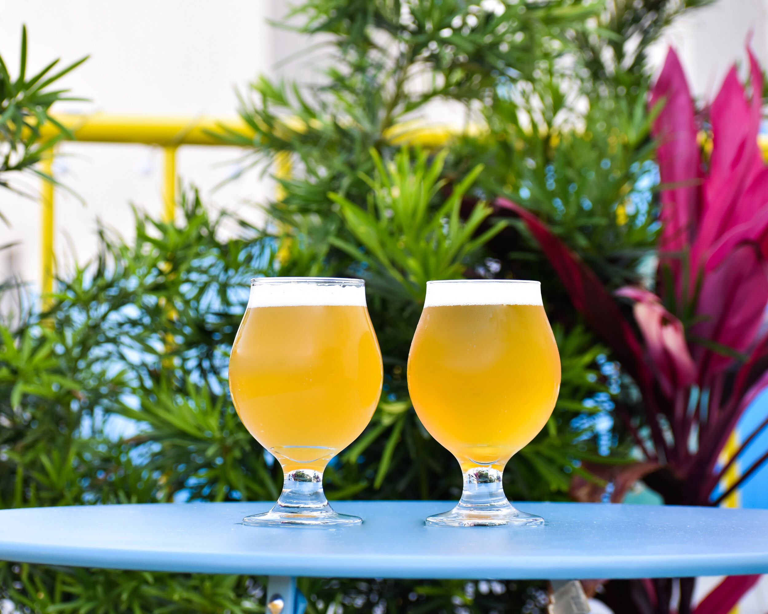 HIDDEN SPRINGS ALE WORKS — Hidden Springs Ale Works