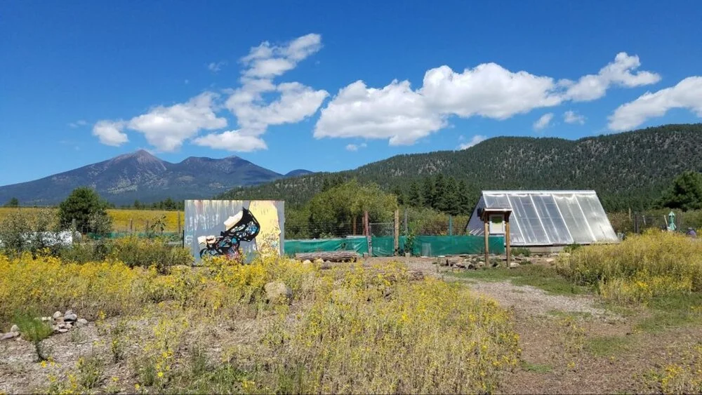 Flagstaff Foodlink | Flagstaff Community Gardens | Flagstaff, Arizona ...