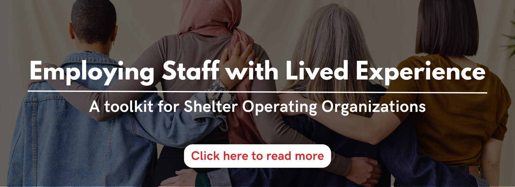 Toronto Shelter Network
