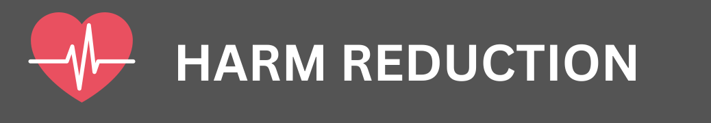 HARM REDUCTION — Toronto Shelter Network
