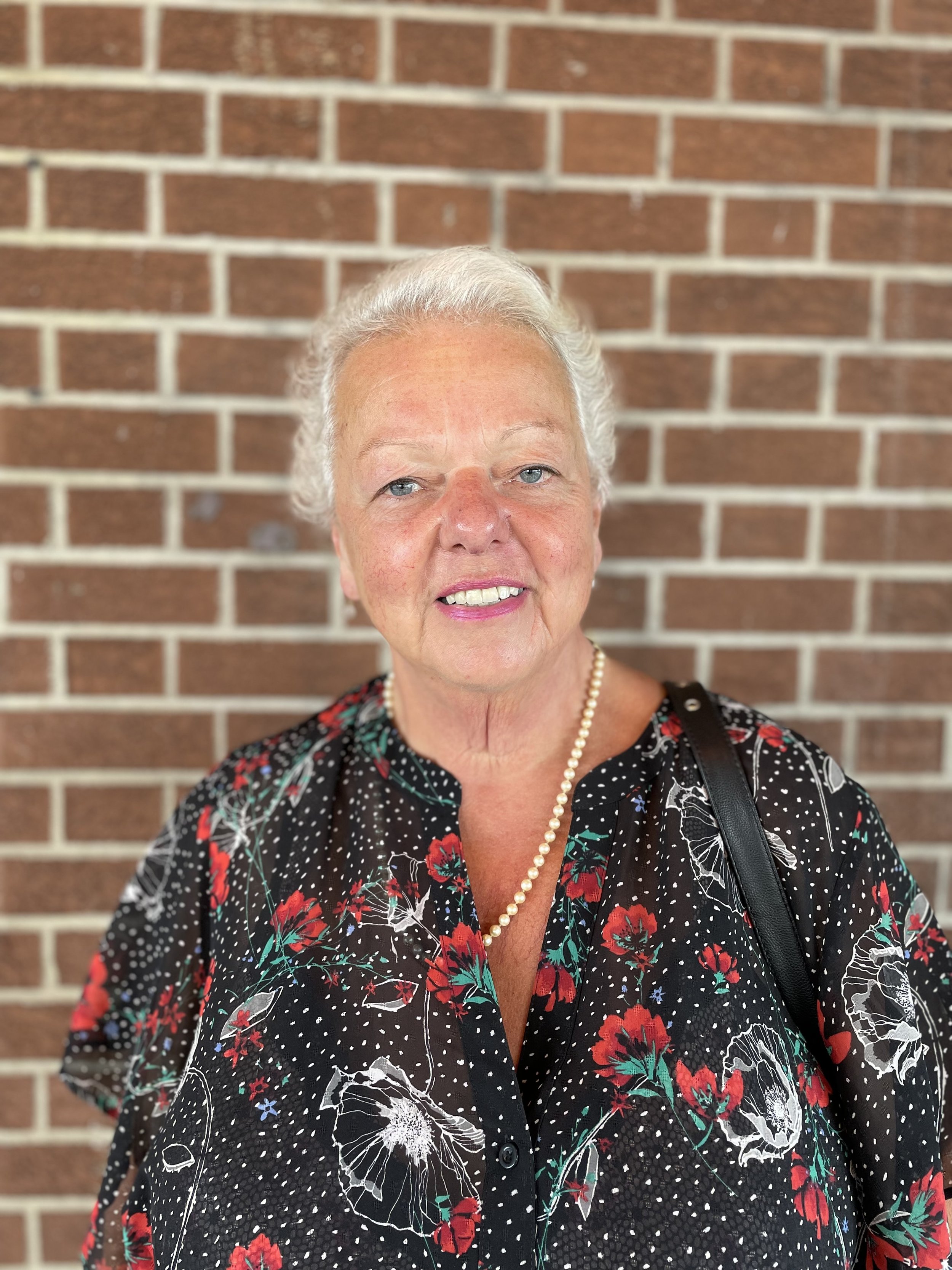 COMMUNITY HEALTH AMBASSADORS — Toronto Shelter Network