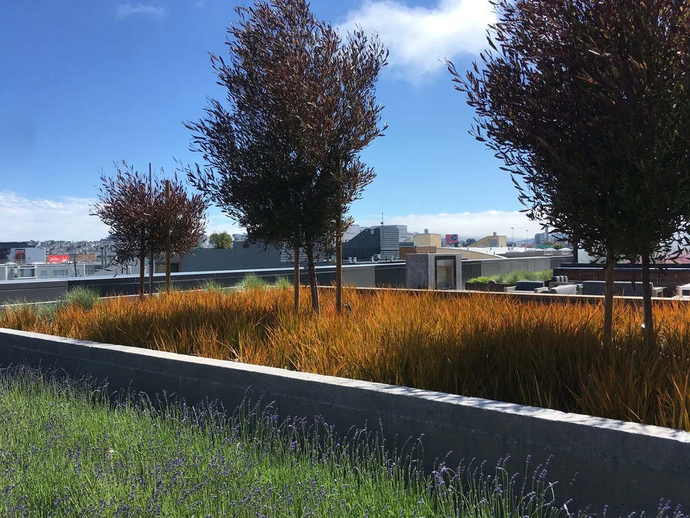 Miller Company Landscape Architects