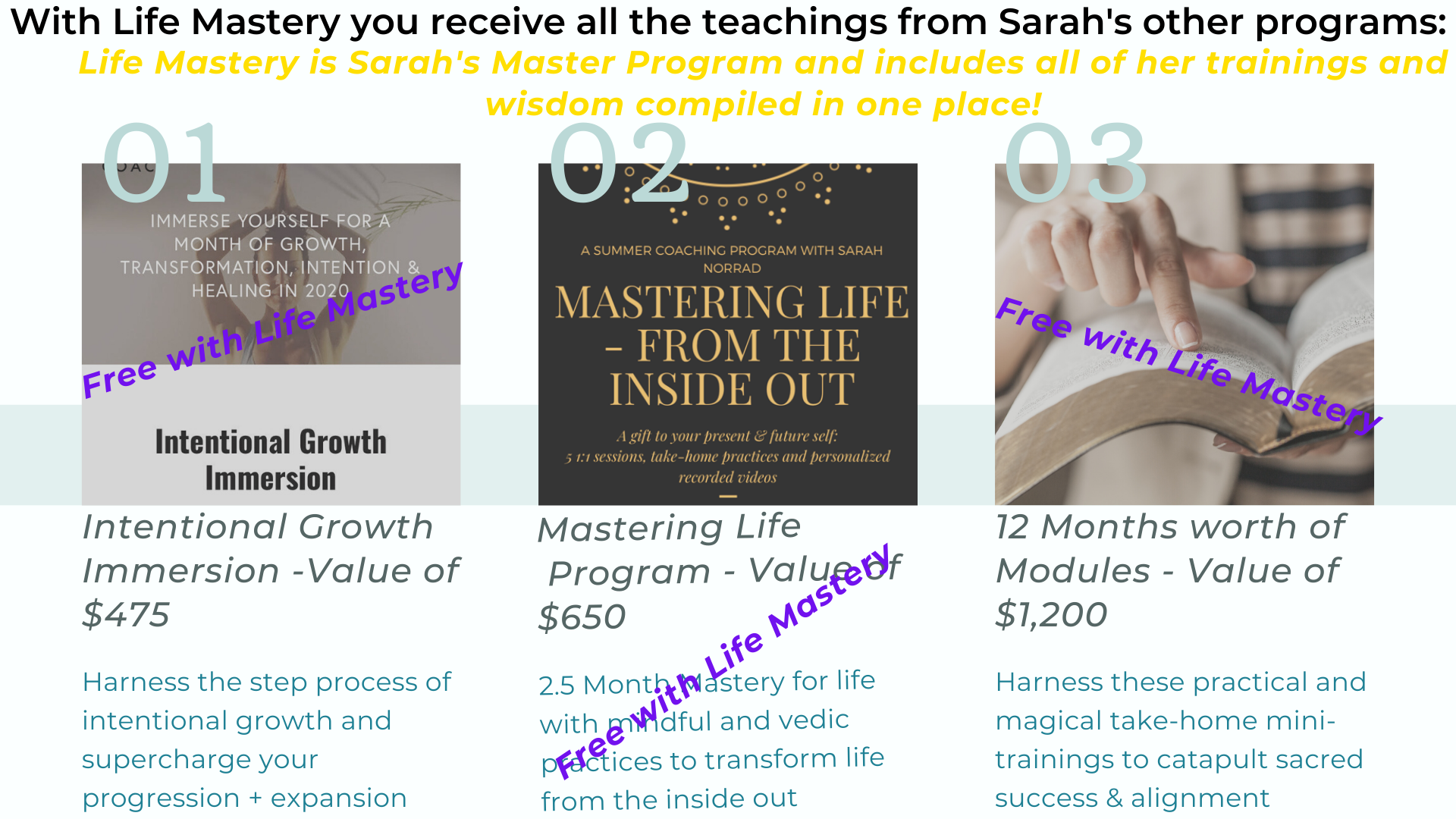 Life Mastery — Sarah Norrad Coaching & Consulting Co.