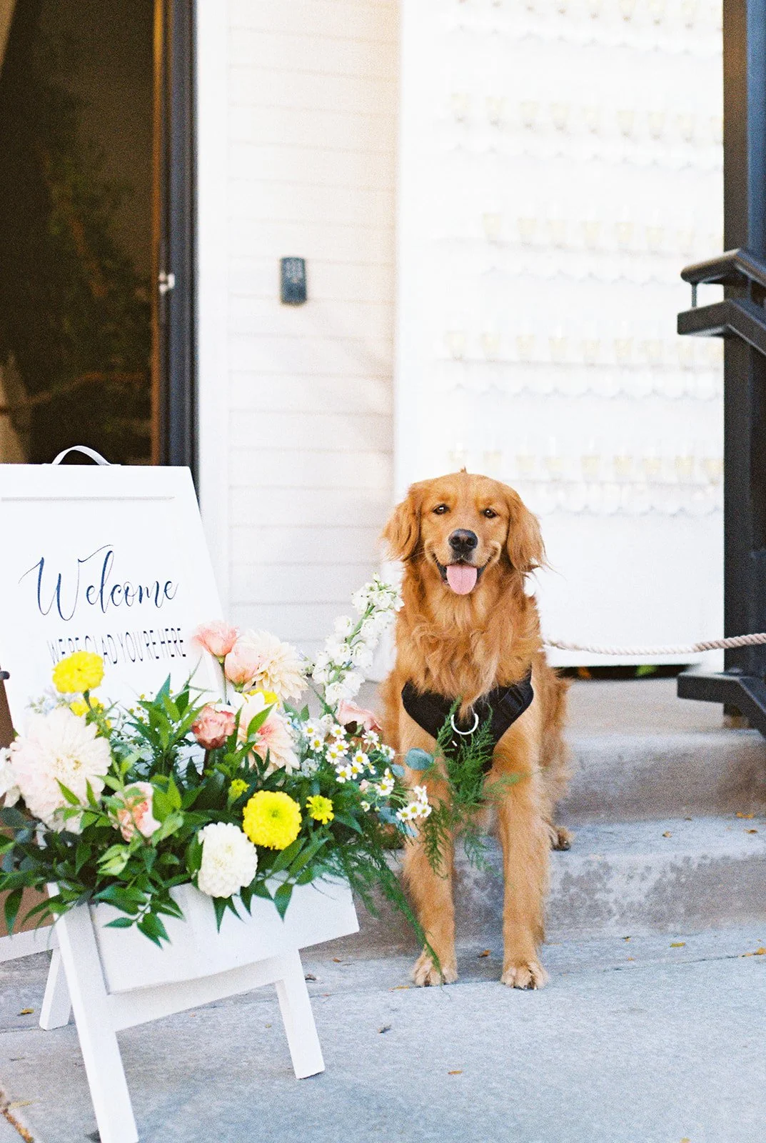 Personally Detailed Fall Wedding at The Simon — Colorado Wedding ...