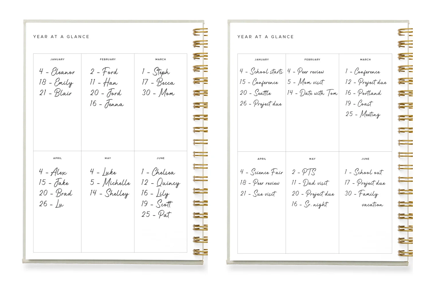 How to Use: Year at a Glance — Golden Coil