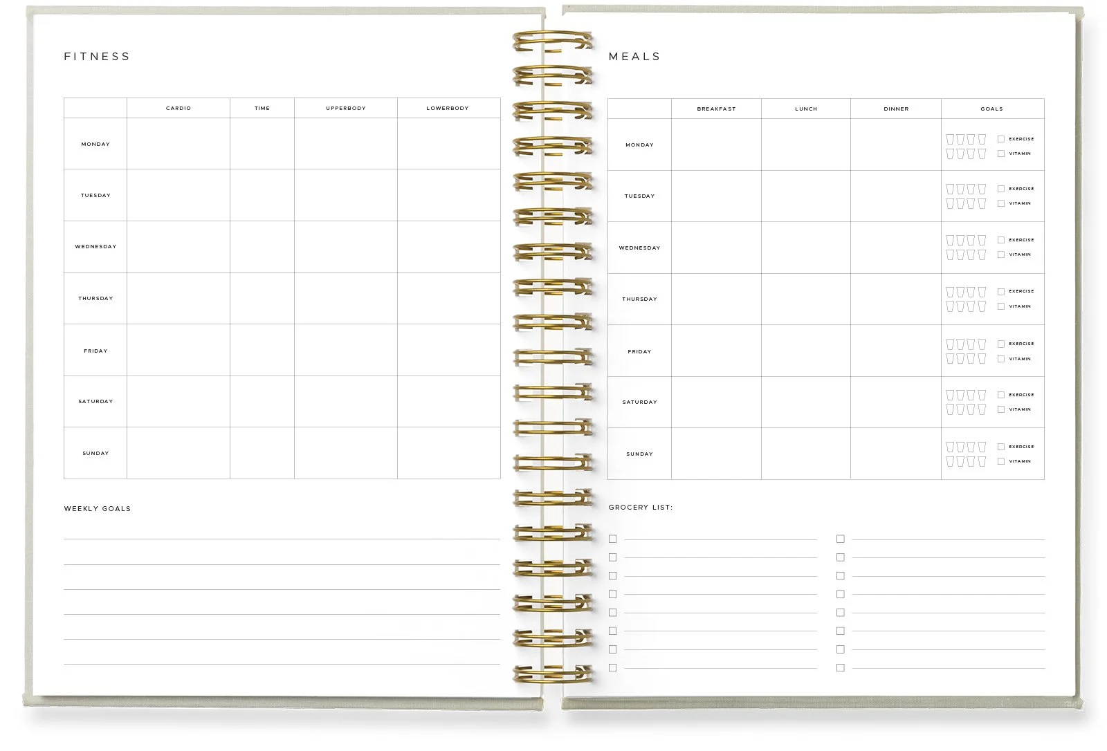 Creating a Fitness Notebook — Golden Coil