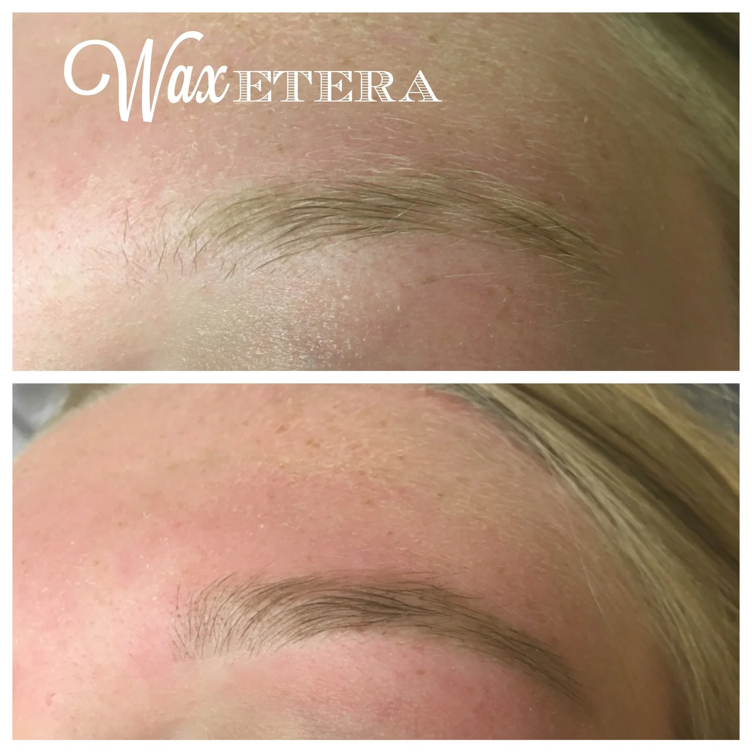 Blog / Photos — Waxetera