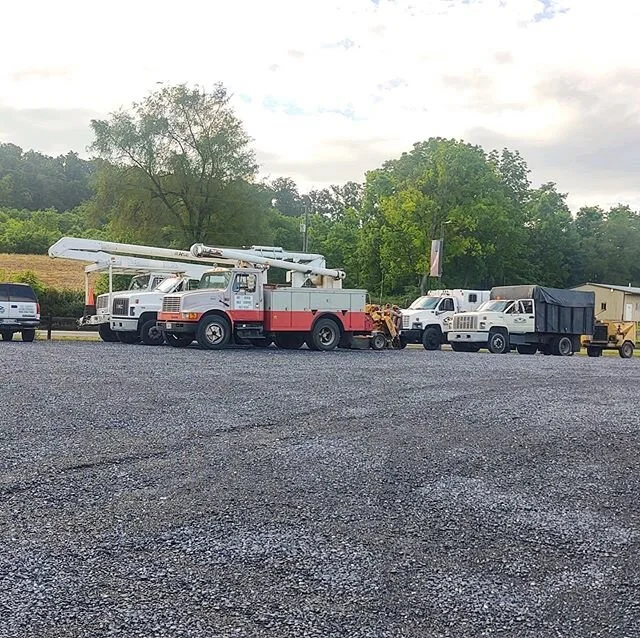 Dry River Tree Service