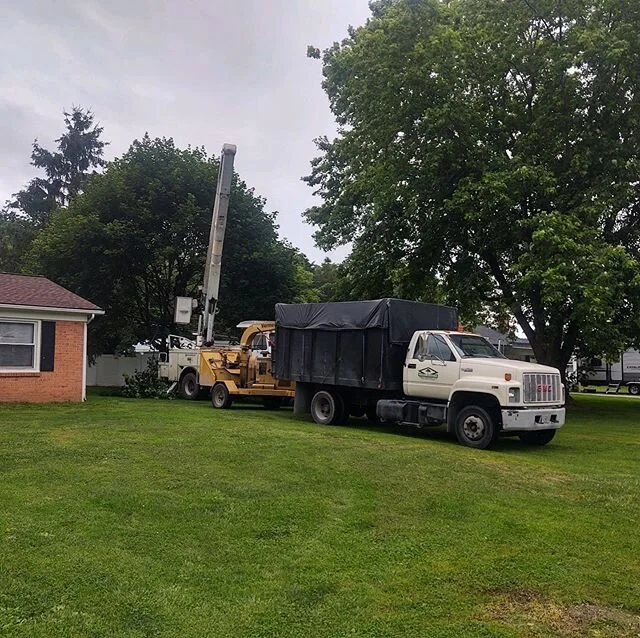 Dry River Tree Service