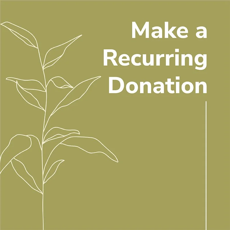 We Are Minidoka: 80th Anniversary Campaign — Friends of Minidoka