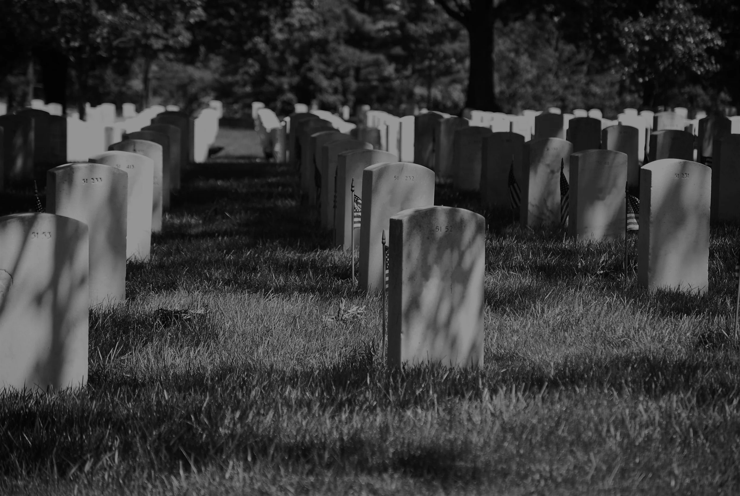 Story — Third Option Foundation