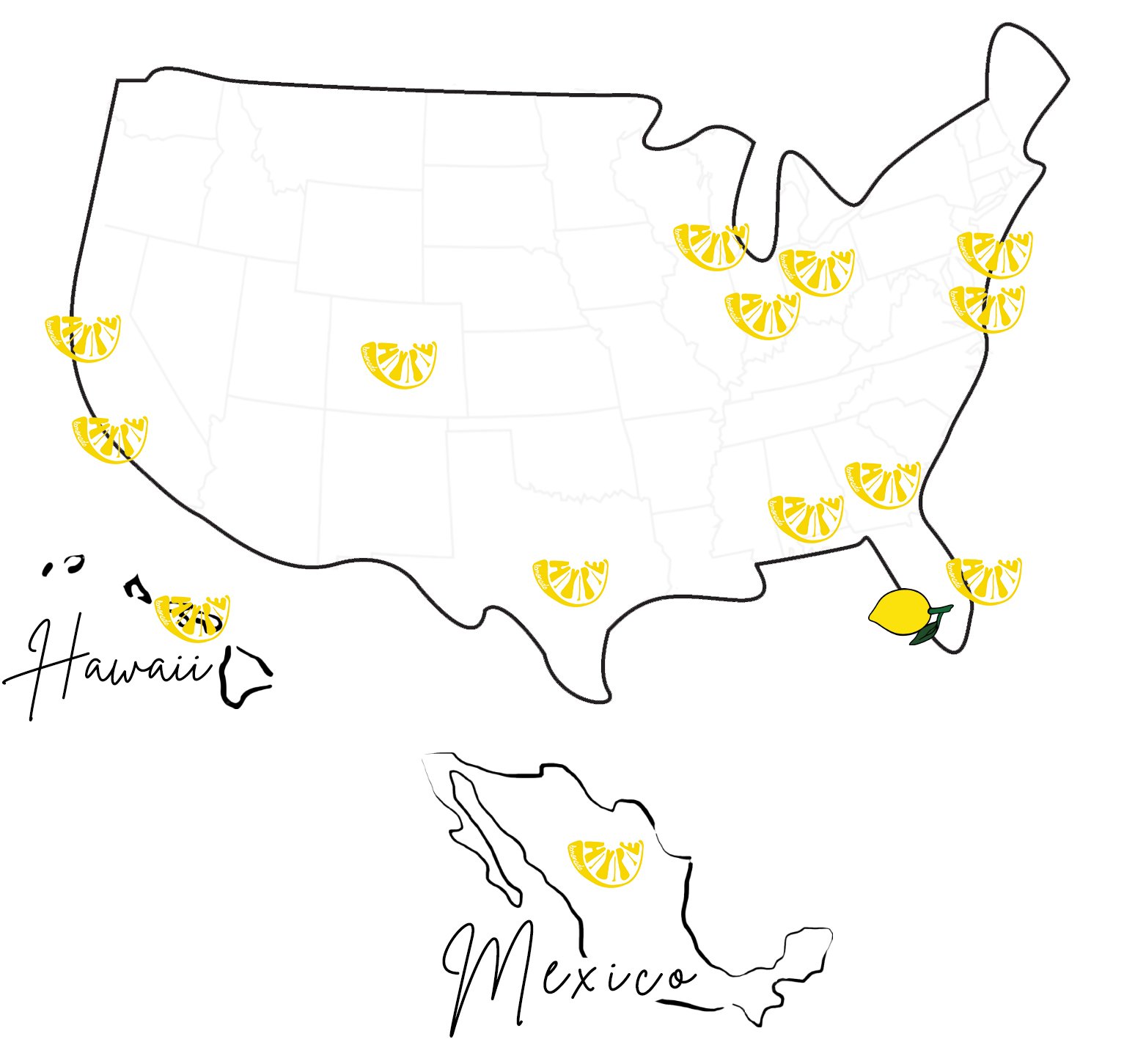 Lemonade Hype — Website Design, Social Media & Marketing in Naples, FL ...