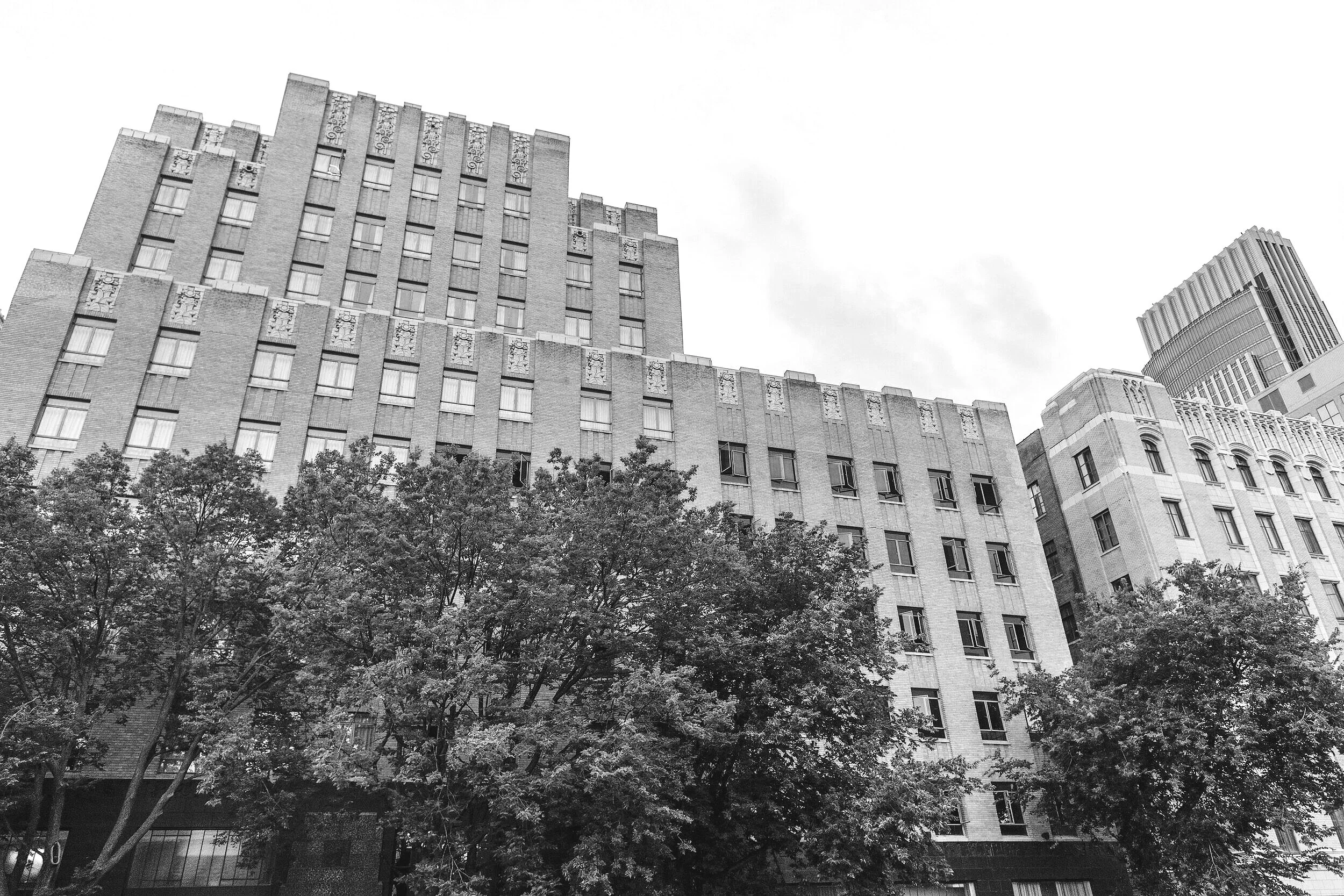 White Lotus Group Website