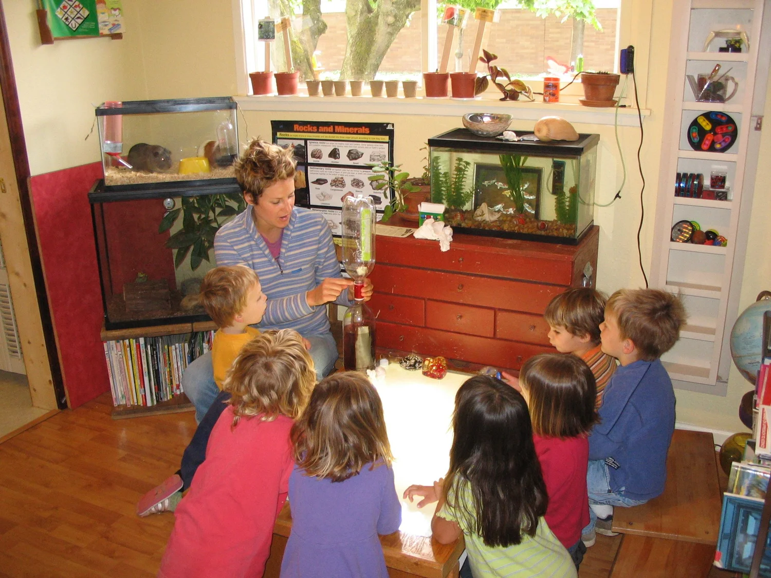 Little Darling School