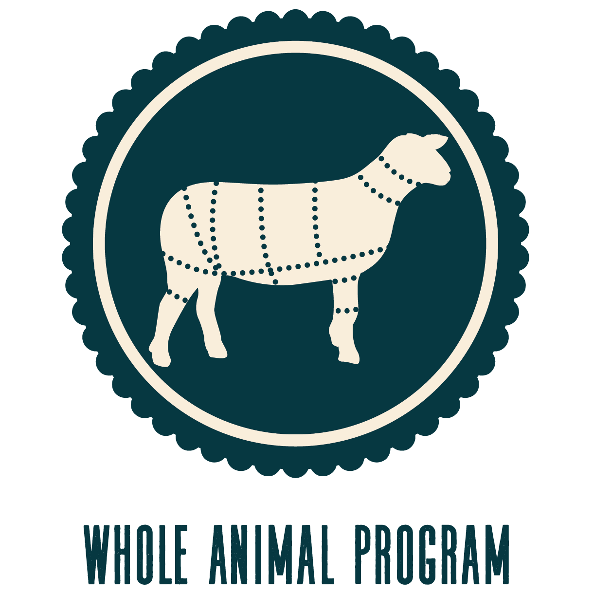 Freedom Run Farm Lamb