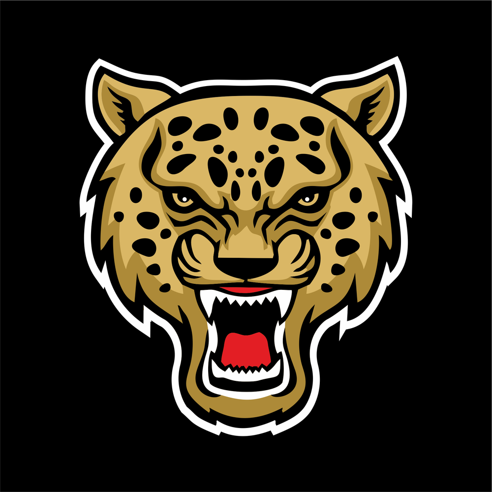 Custom Sports Logo Design