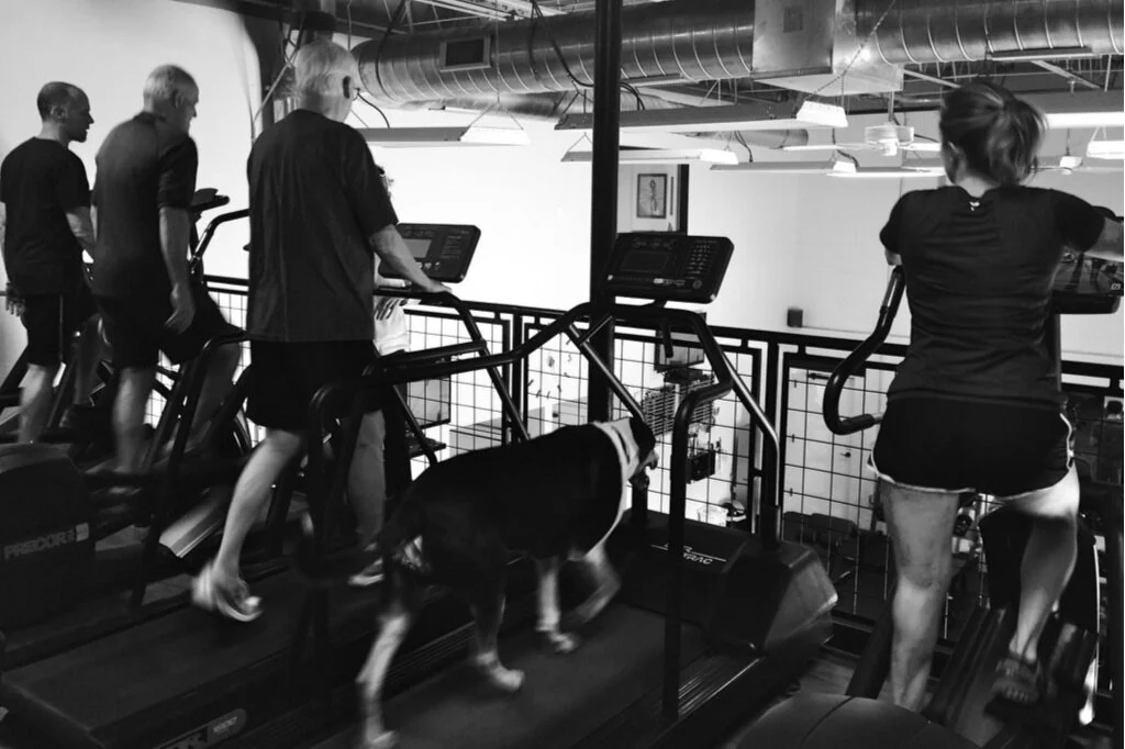 Personal Fitness Studio — Austin Fitness Clinic