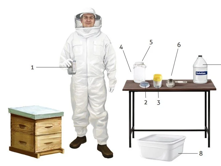 Varroa — Adelaide Beekeeping Supplies