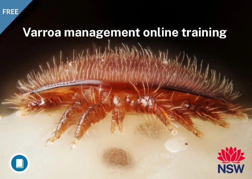 Varroa — Adelaide Beekeeping Supplies