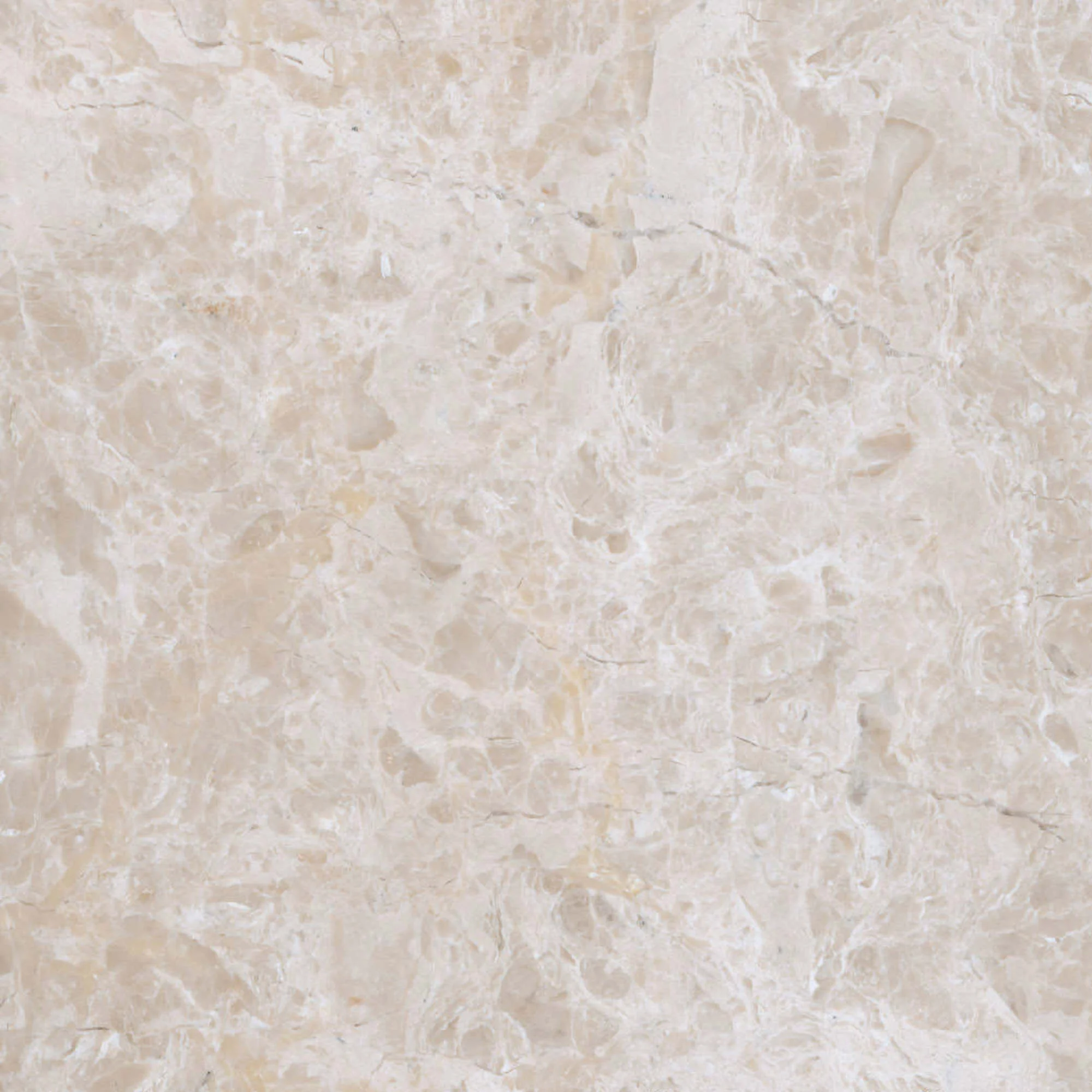 New York Marble & Ceramic, Inc. — Exquisite Taupe